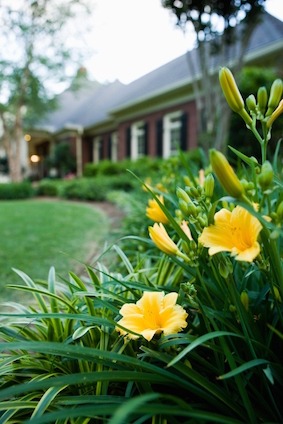 Aménagement de plates-bandes sur la Rive-Sud de Montréal